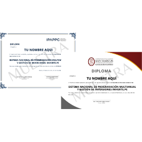 INV 01-2025 | LP Reg Org - Sistema nacional de programación multian