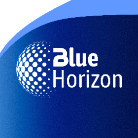 Blue Horizon - Landing - Blue Horizon